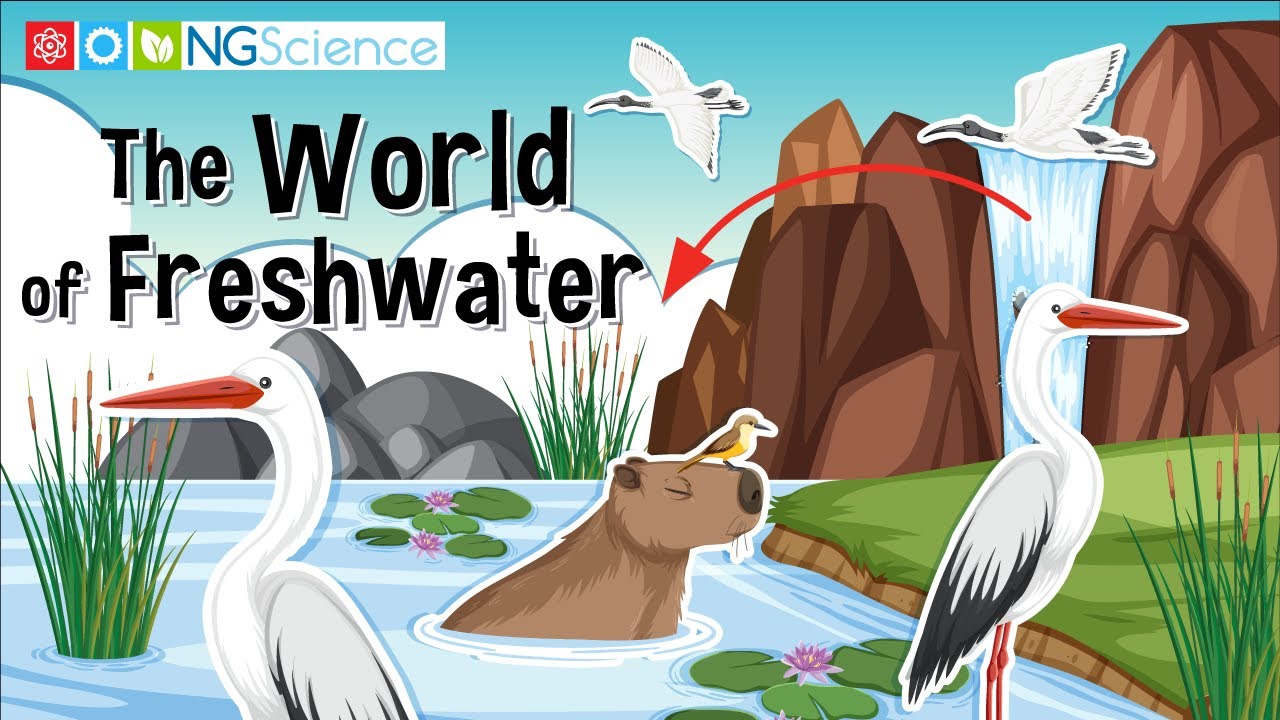 The World of Freshwater