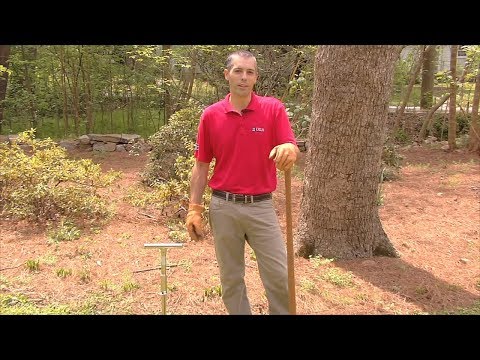 Extension Corner – Why Soil Testing Is Important For Home Gardens & Lawns