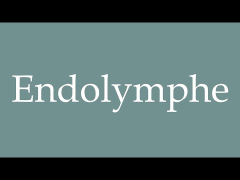 How to Pronounce ''Endolymphe'' (Endolymph) Correctly in French