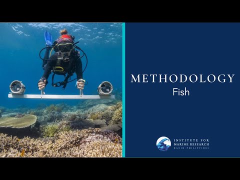 Methodology: Fish