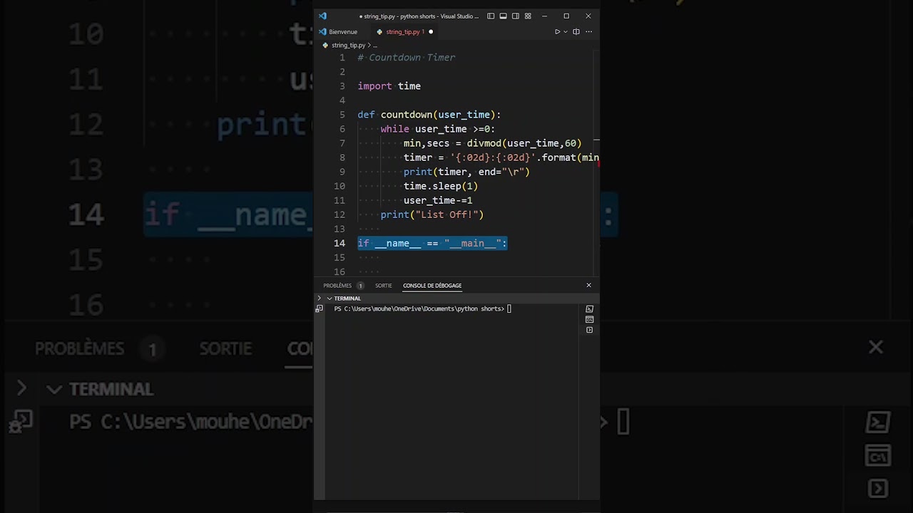 Project that Every Python developer should learn