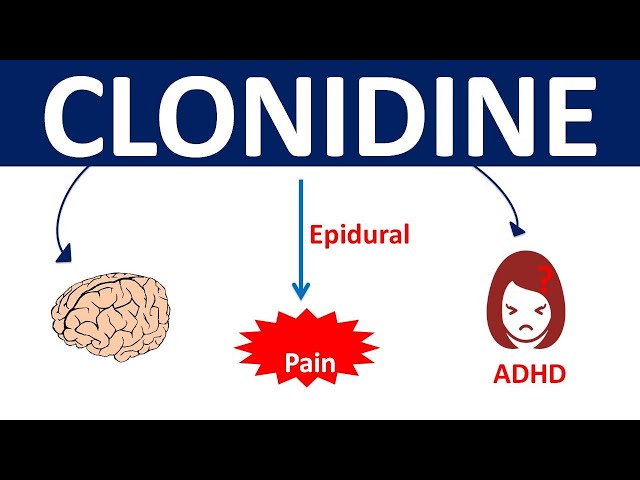 Anesthetic - Lidofix 2% ADR Lignocaine Hydrochloride And Adrenaline ...