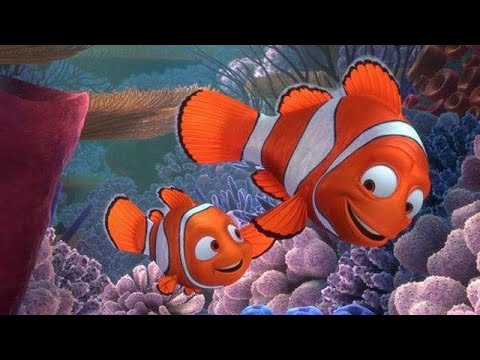 Stasera in tv, 'Alla ricerca di Nemo' su Raidue: le cose che forse non sapete