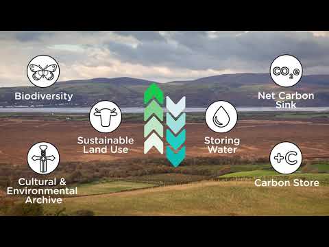 Peatlands: the good, the bad, and the land healers