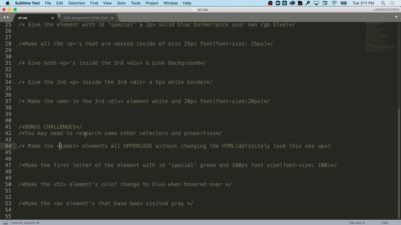 6 CSS Selector Exercise – Assignment 1 Description