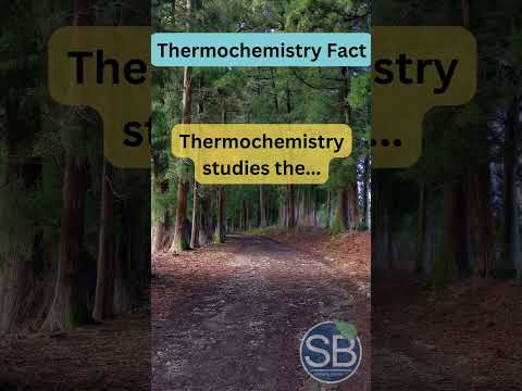 CT22: What is Thermochemistry exactly? #thermochemistry #science #chemistry