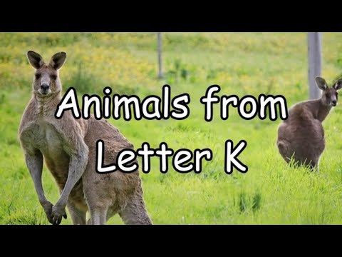 K Letter Animals