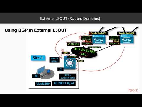 Learn Learning Cisco Application Centric Infrastructure External L3OUT with BGP | packtpub com ...
