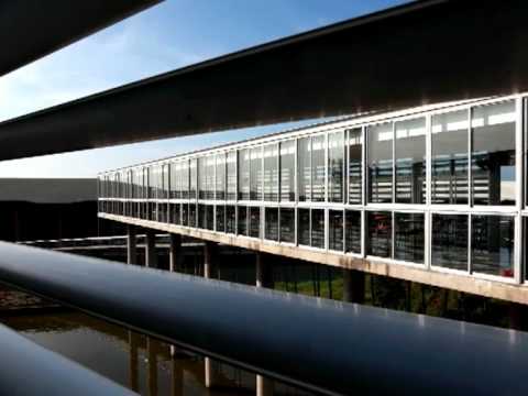 PASAYA - The green factory