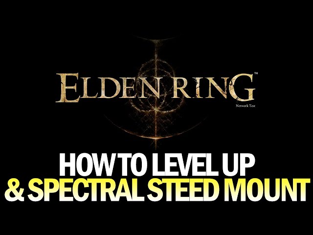 How Does Character Leveling Work In Elden Ring 0447