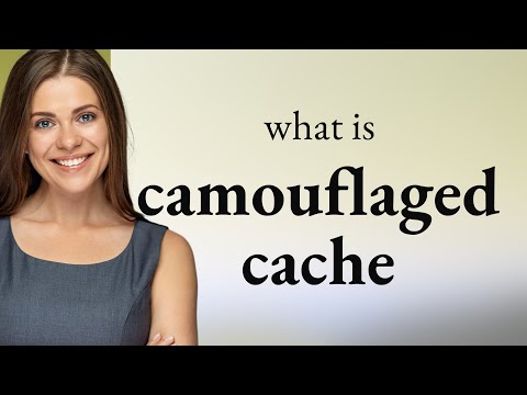 Unveiling the Mystery: The Meaning of "Camouflaged Cache"