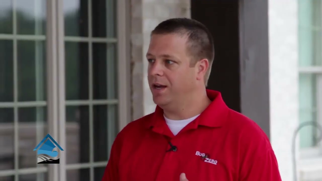 Bug Zero Preventative Service Focus