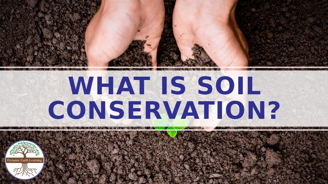 What is Soil Conservation? Types of Soil Conservation