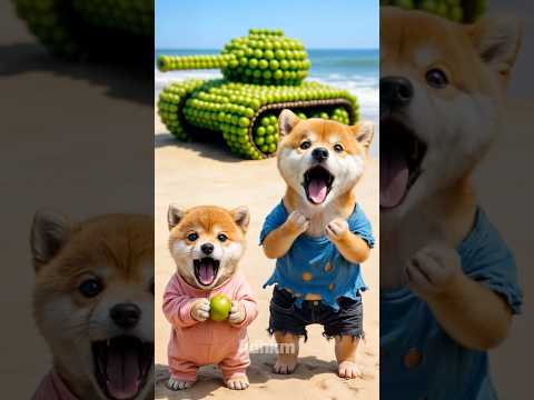 Two cats π± on a banana-shaped plane π destroyed the apple tank π built by two poor dogs πΆ #hdhkm