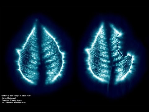 Kirlian Photography - Orbs and auras
