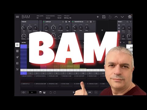 SFM Tutorials: BAM - Tutorial 6: The Sampler — Loopy Pro Forum
