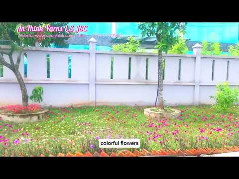 NON-WOVENS MANUFACTURER IN VIET NAM