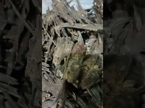 Puffed Rice - Rice Puff Latest Price, Manufacturers & Suppliers