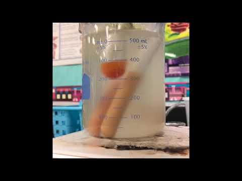 Alcoholic Fermentation in Yeast Experiment