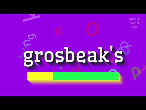 How to say "grosbeak's"! (High Quality Voices)