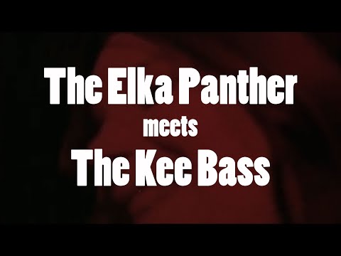 Martinic introduces Kee Bass free VST/AU plugin - Gearspace