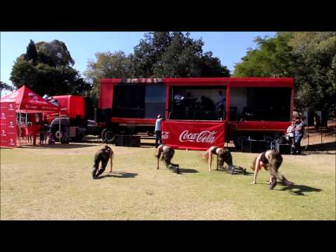 Emma dancing at a local event inJohannesburg