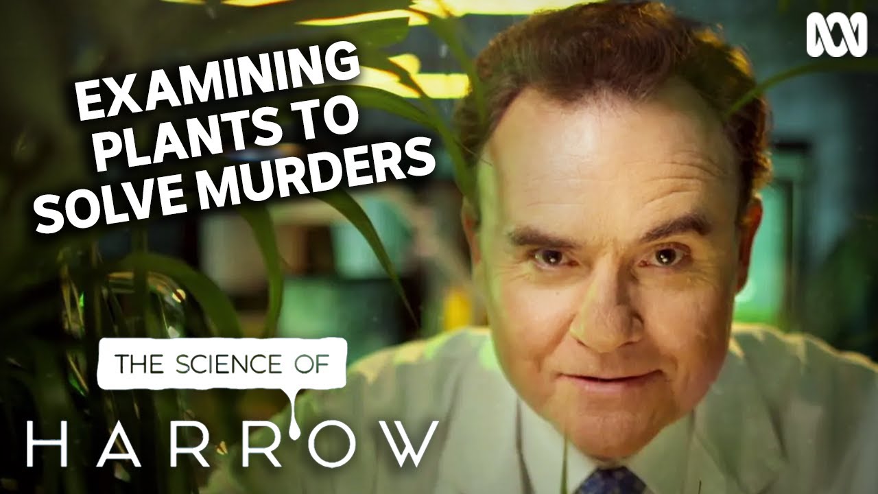 Forensic botany — examining plants to solve murders | The Science Of Harrow