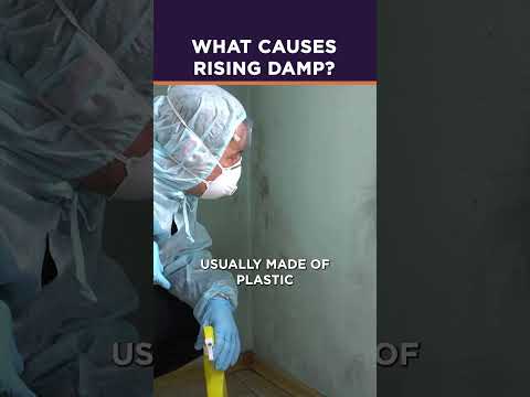 What Causes Rising Damp #shorts