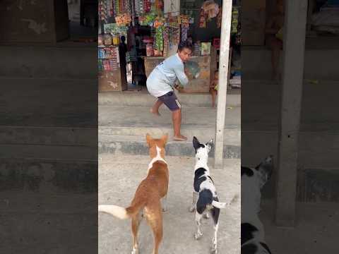 Kutta Ko Ghussa Aa Gaya ???????????? #viral #funny #shorts