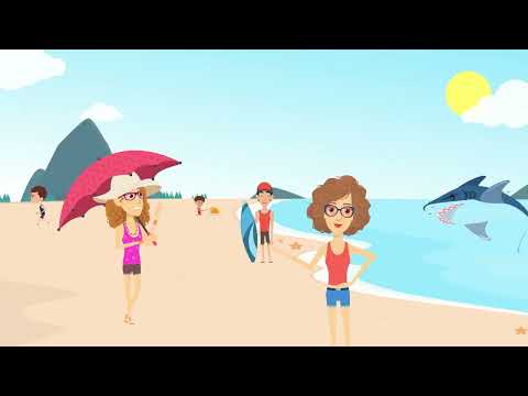 Sensation & Perception Explained
