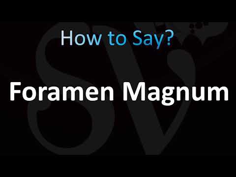 How to Pronounce Foramen Magnum (CORRECTLY!)