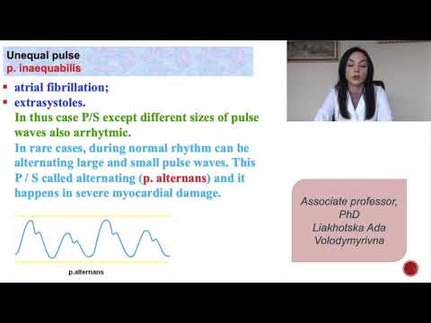 Pulse and blood pressure