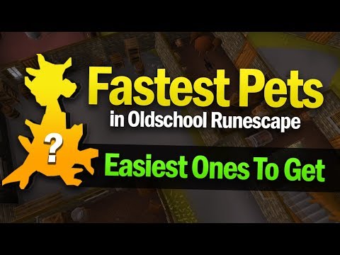 Easiest Pets To Get in OSRS (Fastest Drop Rate)