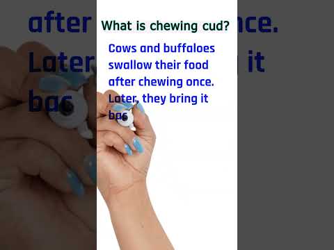 #Chewing the cud #What is Chewing the cud #science #Biology
