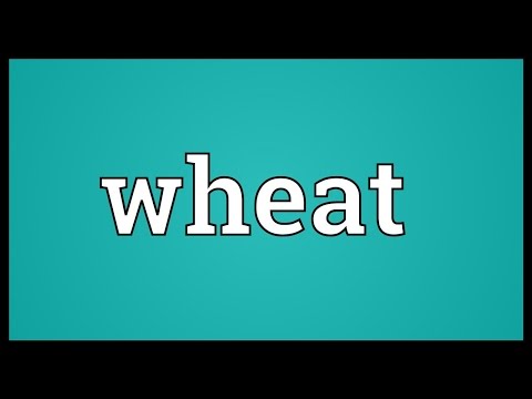 Wheat Meaning