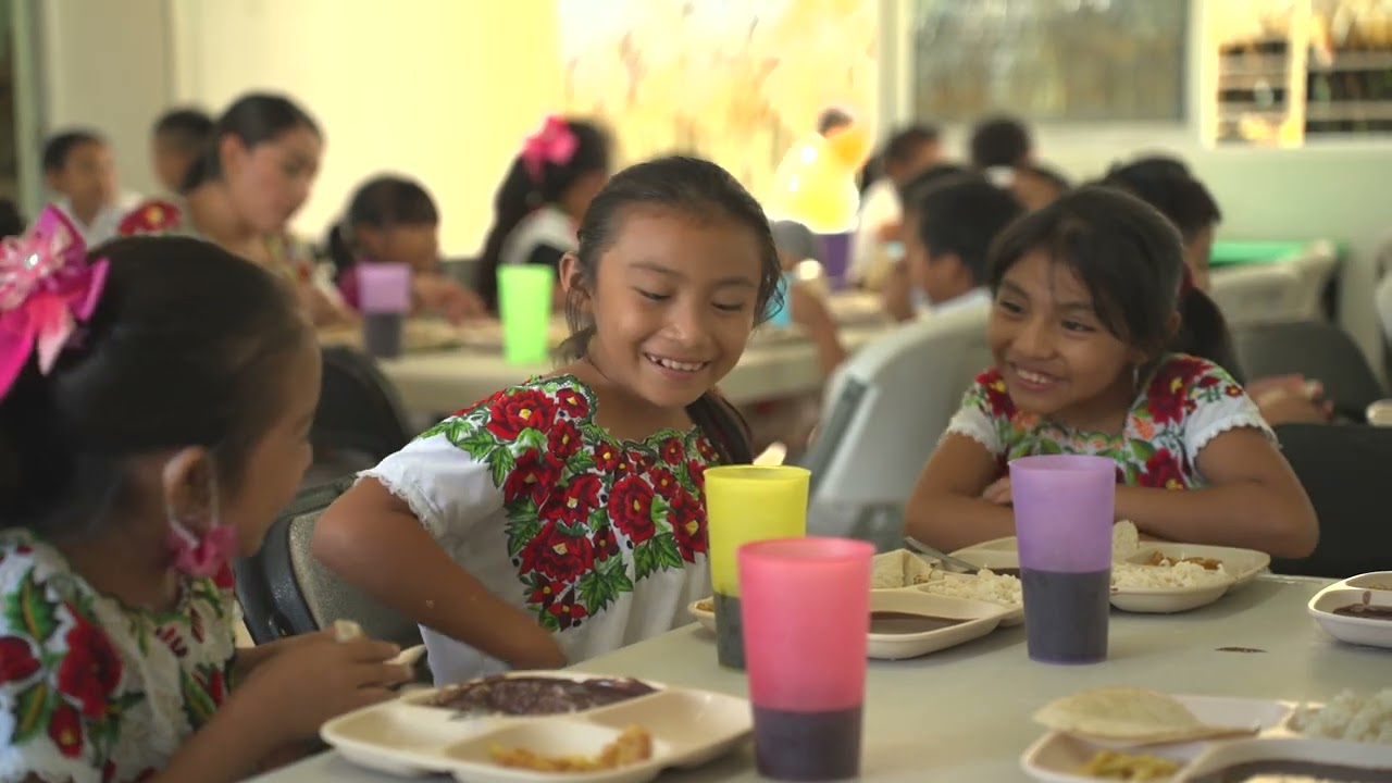 Vía Educación y WKKF: Transformación Ciudadana a Través de la Educación