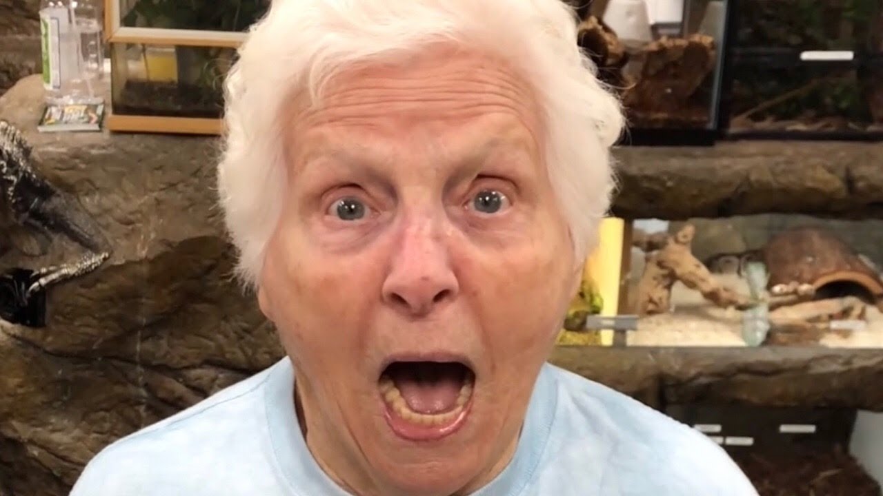 Scaring My Grandma With Snakes & Spiders