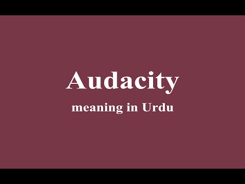 Audacity meaning in Urdu