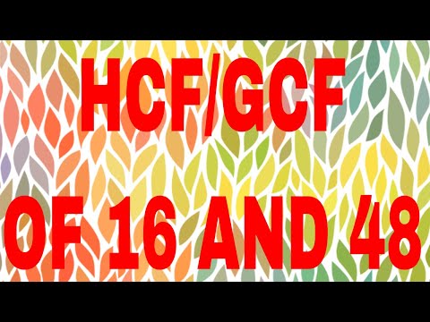 HCF of 16 and 48|GCF of 16 and 48