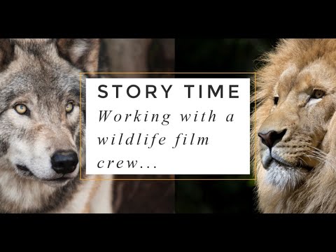 Story Time| My experience with a wildlife film crew