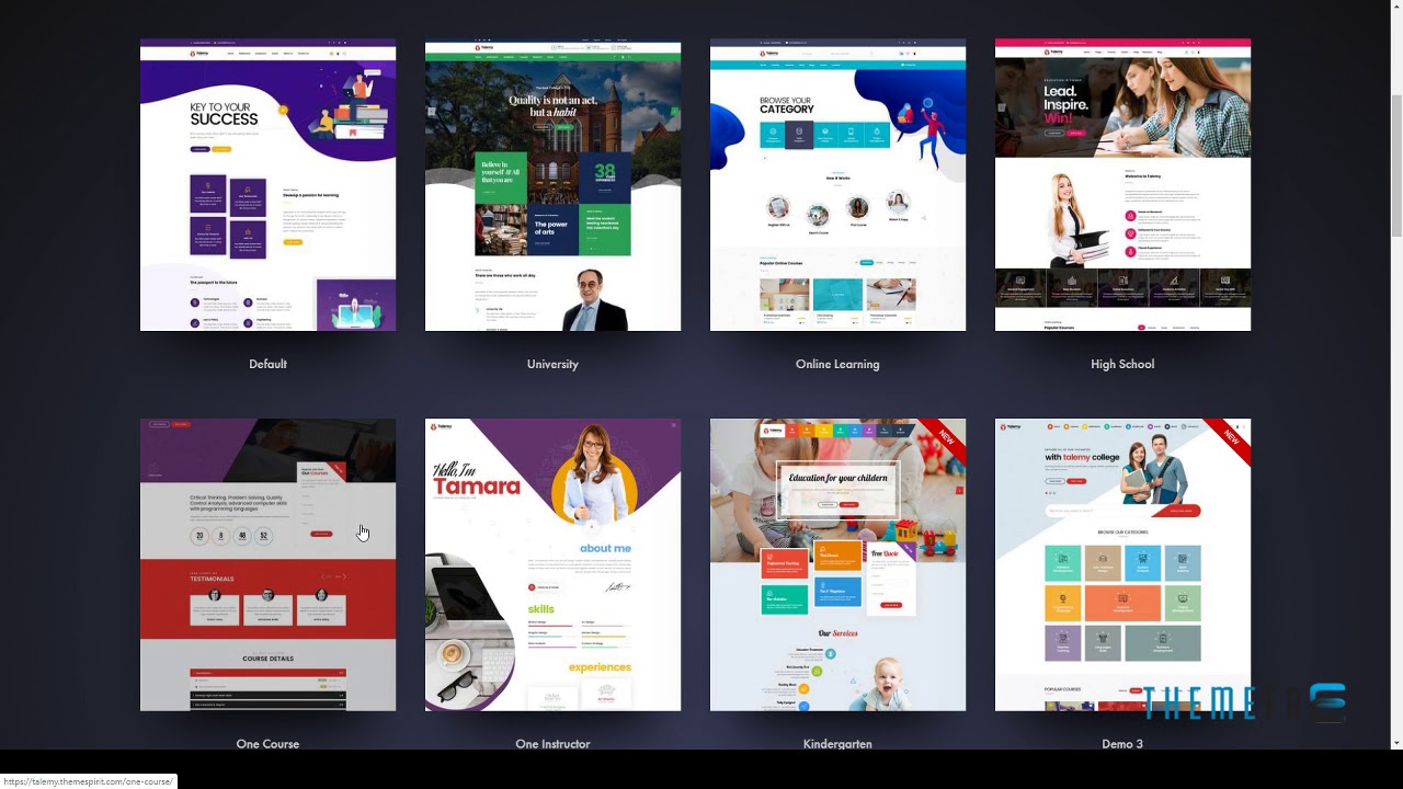 Talemy - LMS Education WordPress Theme