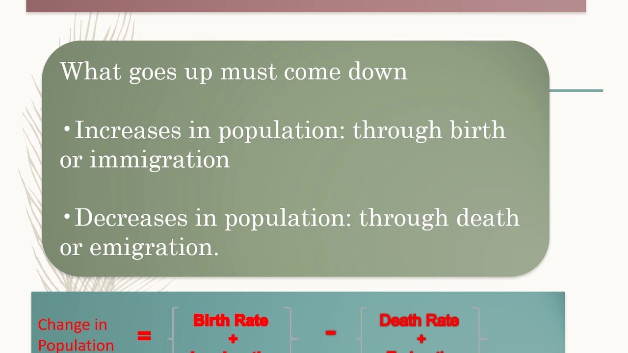 POPULATION DYNAMICS PPT