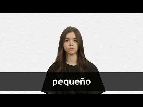 English Translation of “PEQUEÑO” | Collins Spanish-English Dictionary