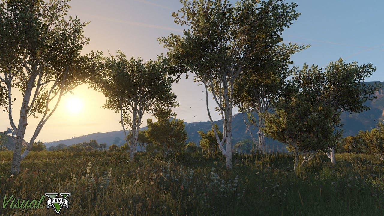 VisualV 1.0.570 - GTA 5