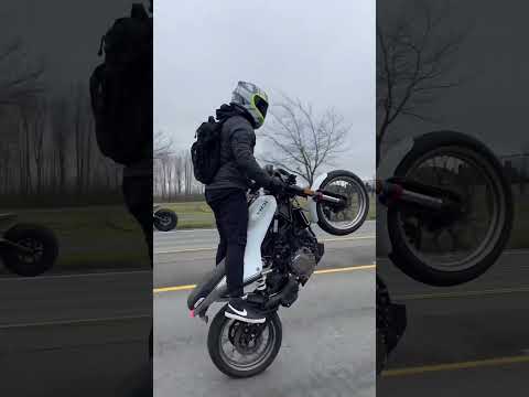 Foot Peg Wheelie on Vitpilen 401 🔥 #wheelie #stunt #vitpilen #husqvarna #motorcycle #shorts