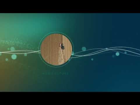 The IoT Runs on Arm