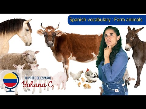 Spanish Vocabulary for Farm Animals: how to describe them, etc.