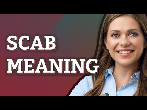 Scab | meaning of Scab