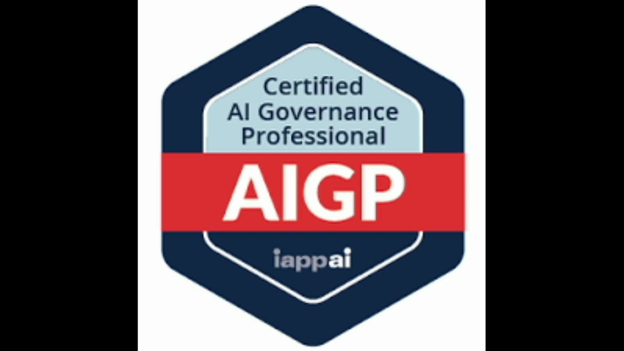 AIGP Study Guide Chapter 11