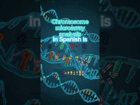 CHROMOSOME MICROARRAY ANALYSIS in SPANISH | Excel in Medical Consecutive Interpretation